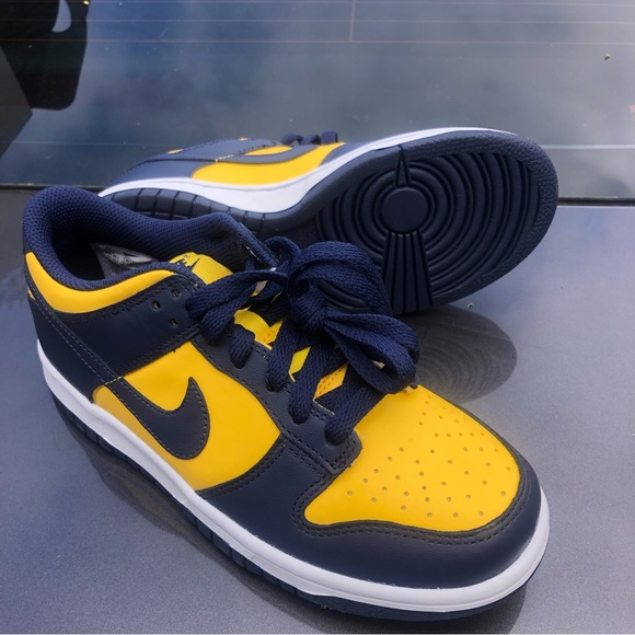 Nike | Shoes | Nike Dunk Michigan Lows | Poshmark